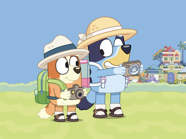 BabyLove SleepyNights | Night Nappies