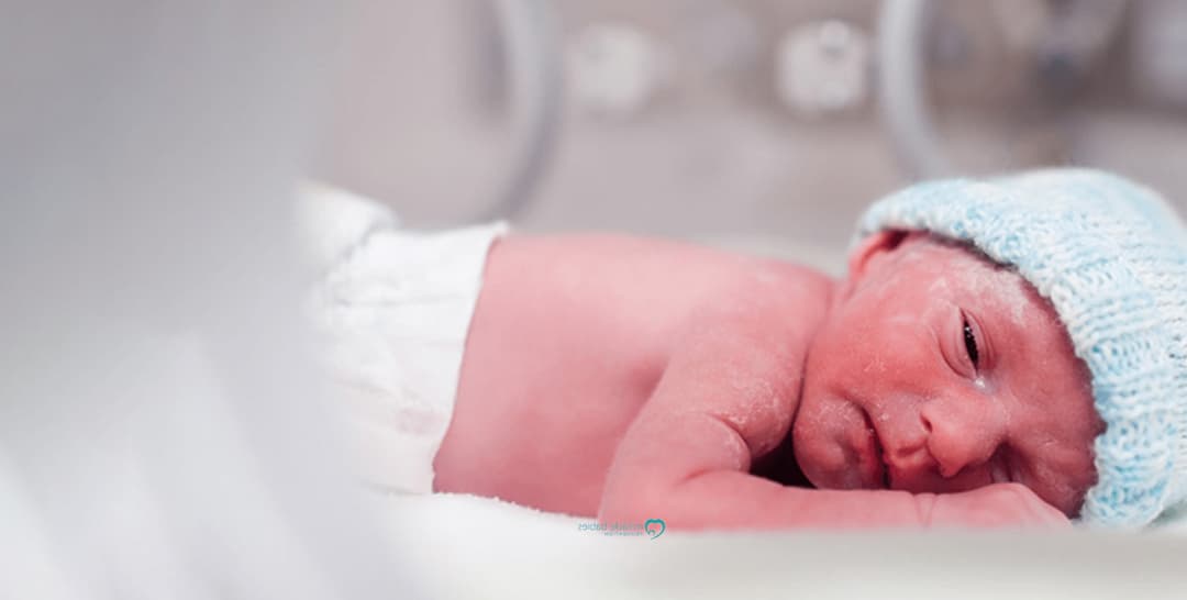 BabyLove® Premmie | Premature, Newborn Nappies